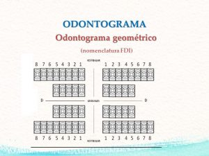 Odontograma: tudo o que você precisa saber! - Cloudia - Assistente ...